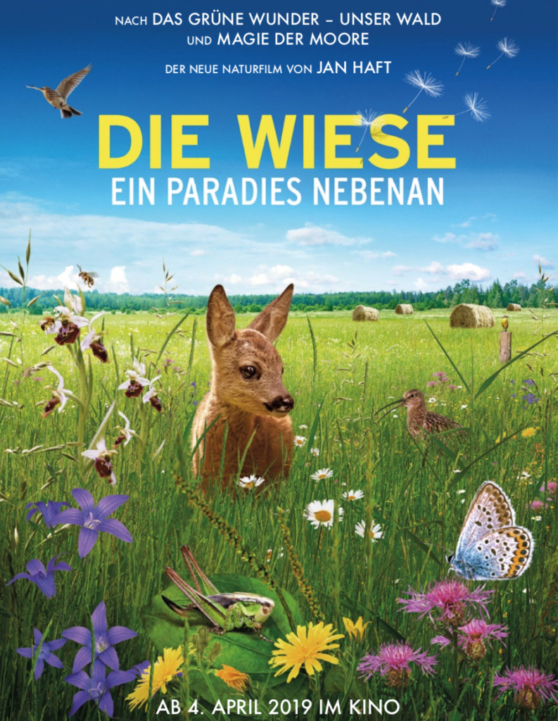 Die Wiese – Naturfilm für die ganze Familie – Wildtierfreund Blog