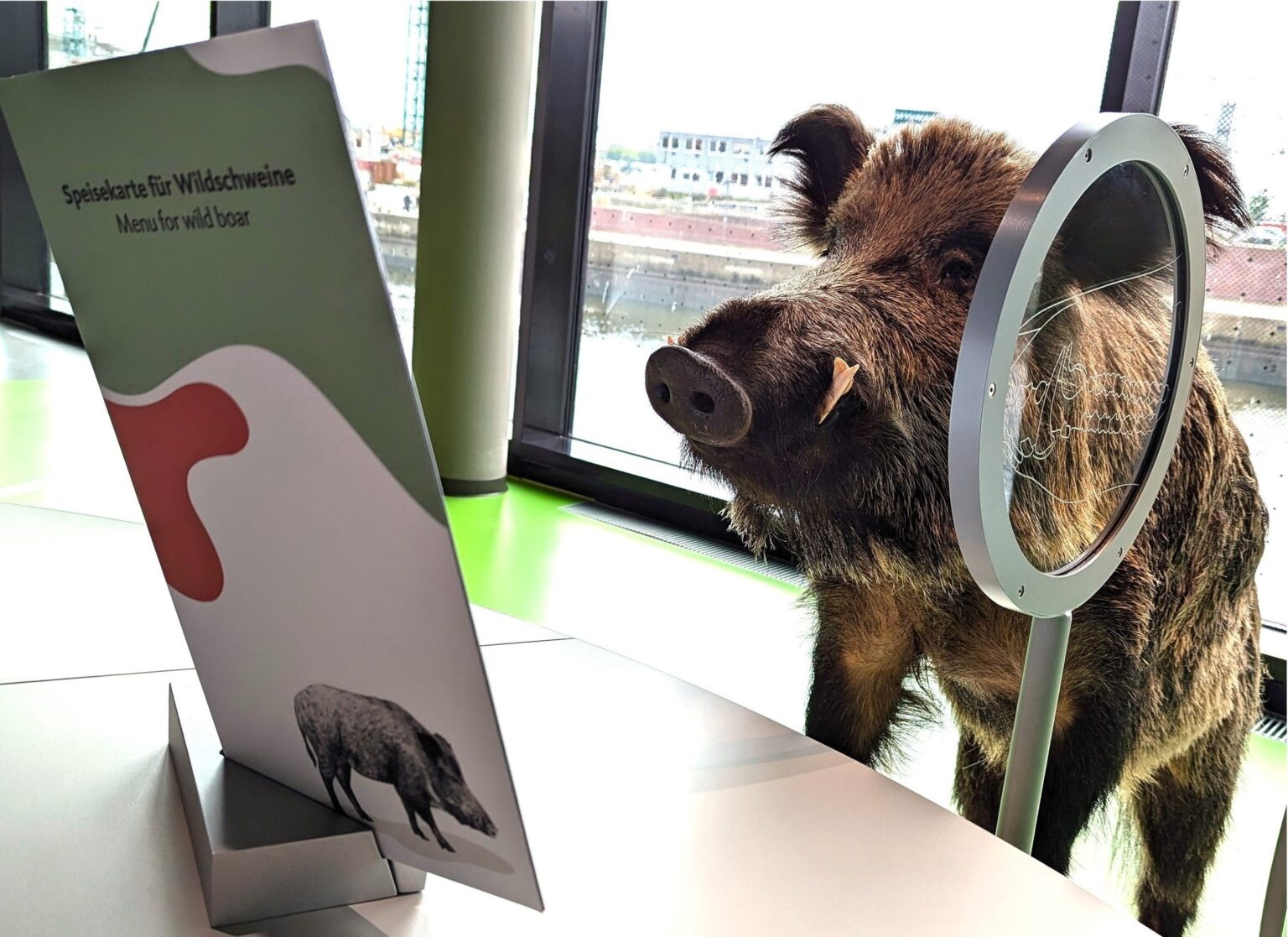 Allesfresser Wildschwein – Wildtierfreund Blog